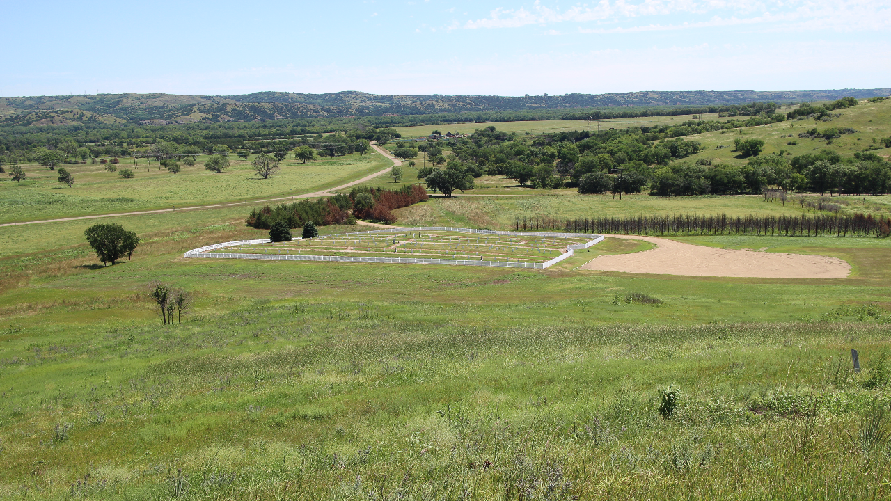 Apr 1 2015 - Dec 31 2015