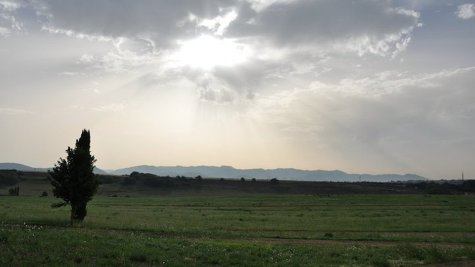 Research Projects | CAST | University of Arkansas